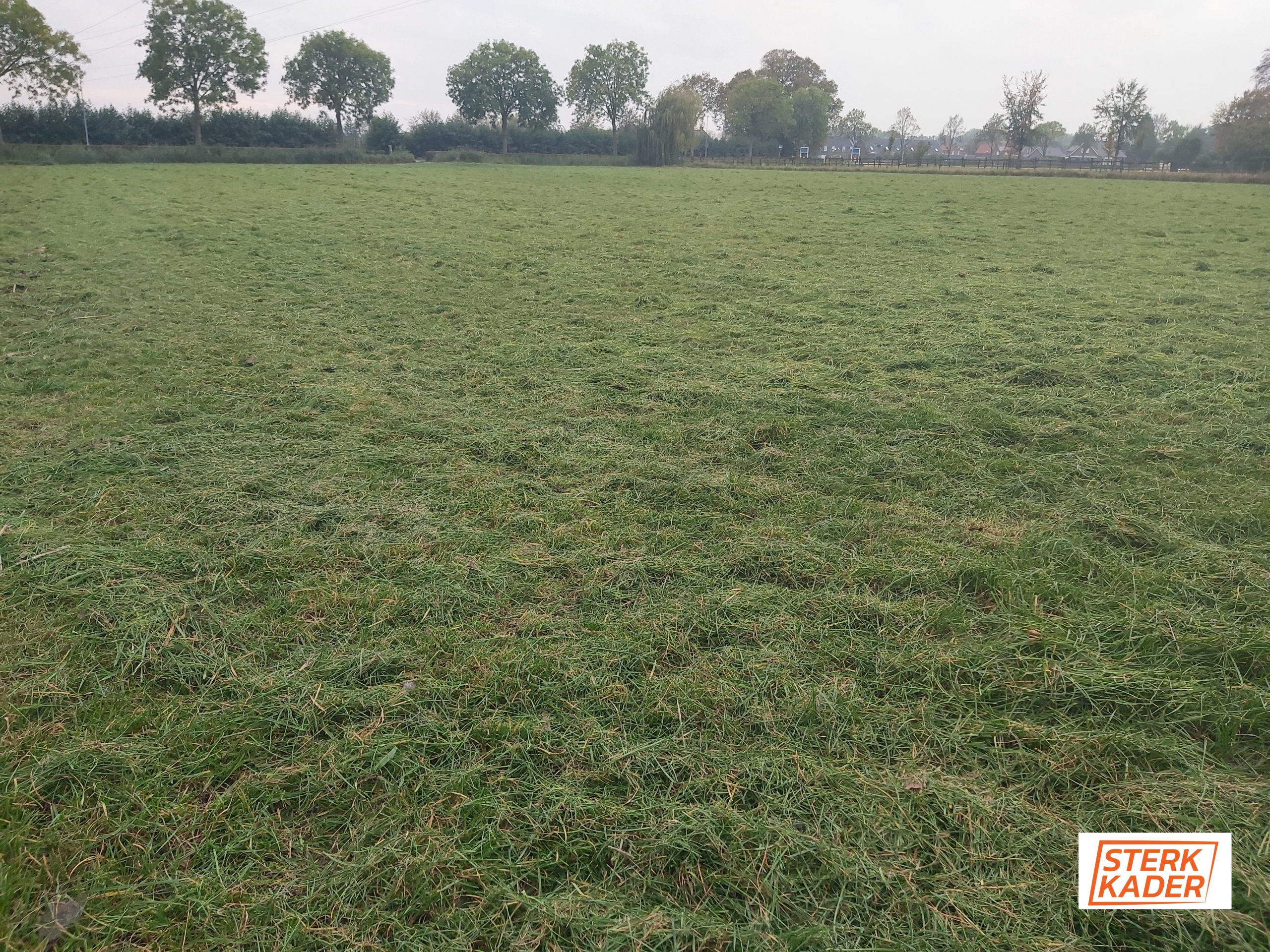 Frisse start gewenst? - Sterk Kader